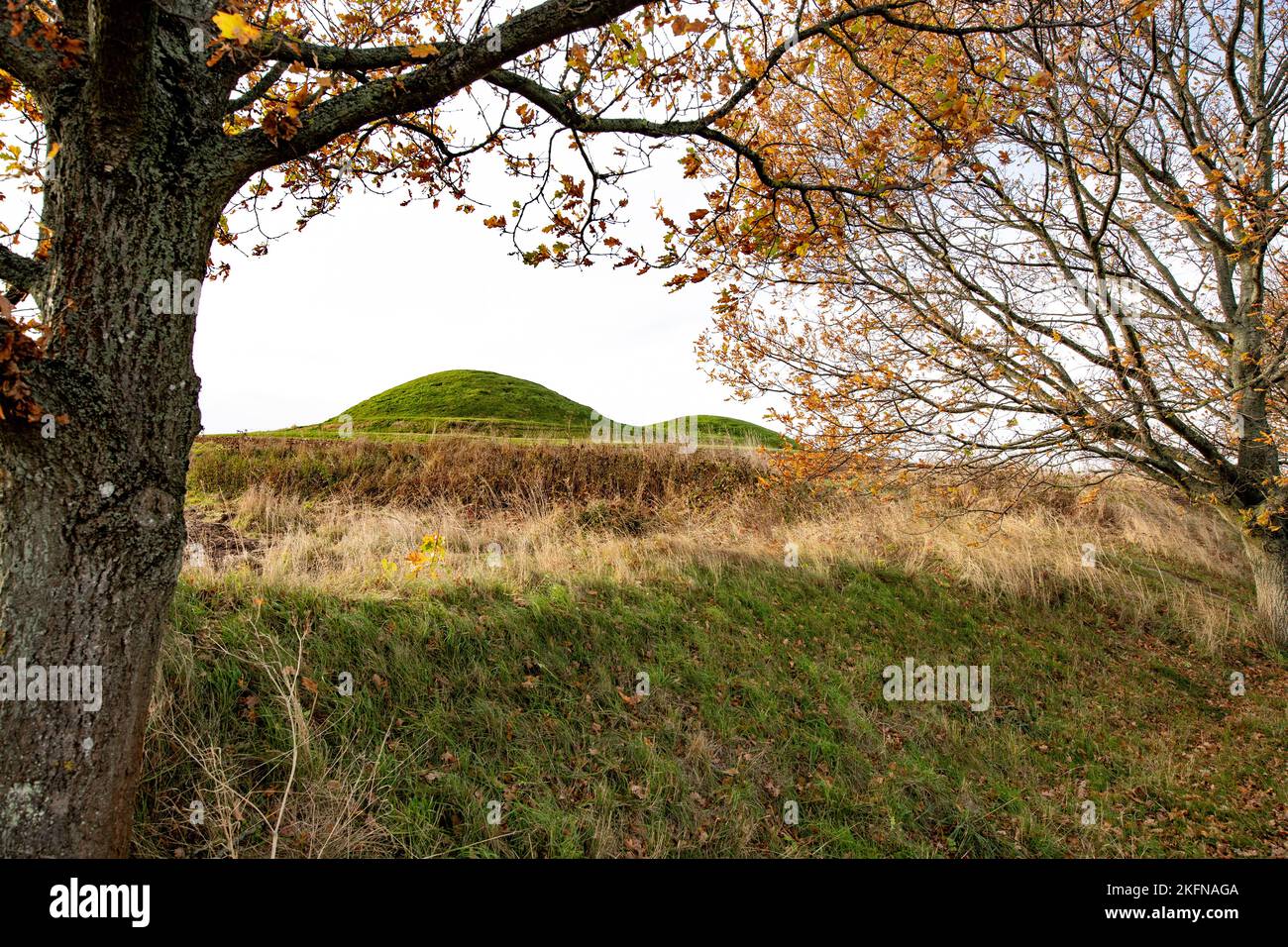 Pictures of the burial mounds from Oxsie, Malmø Stock Photo - Alamy