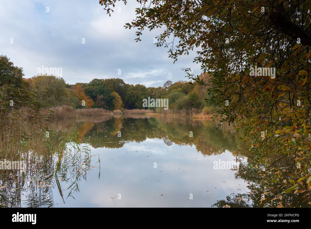 Southampton common in southampton hi-res stock photography and images ...