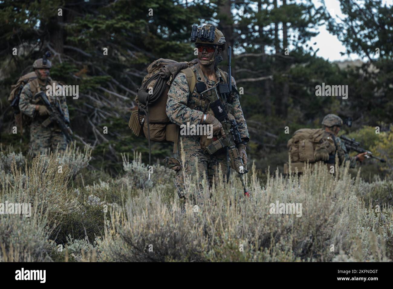 U.S. Marines with Echo Company, 2nd Battalion, 1st Marine Regiment, 1st ...