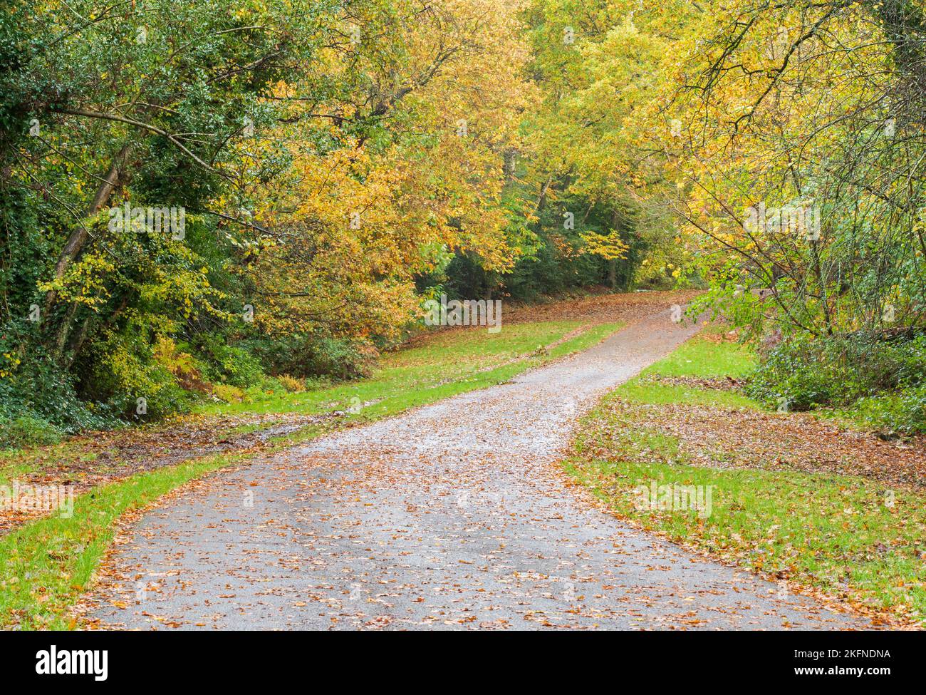 Autumn on Southampton Common Stock Photo - Alamy