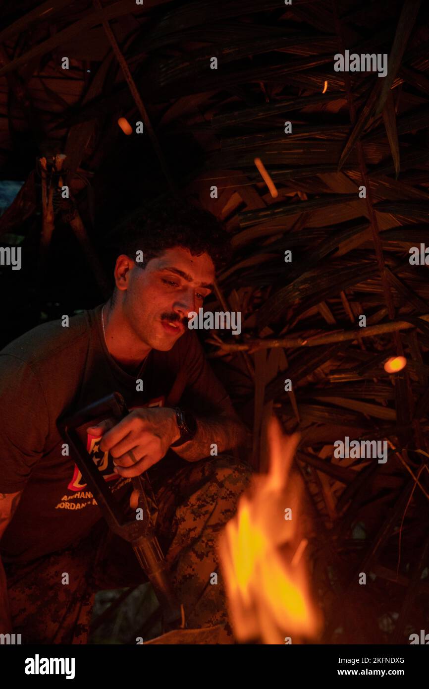 U.S. Marine Corps Sgt. Thomas Freckleton, an infantry Marine with 2d ...