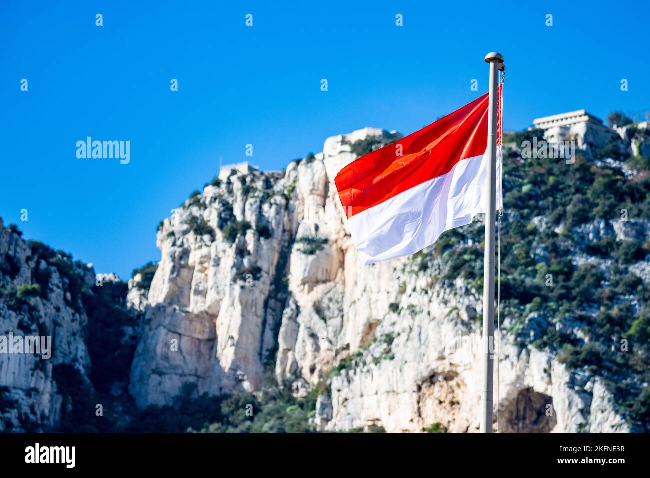 Monaco. 19th Nov, 2022. Flag of Monaco during the Army Parade, as part ...