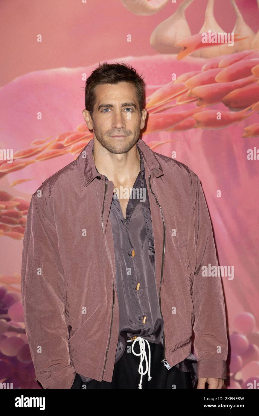 Jake Gyllenhaal attends the "Strange World" screening and multimedia ...