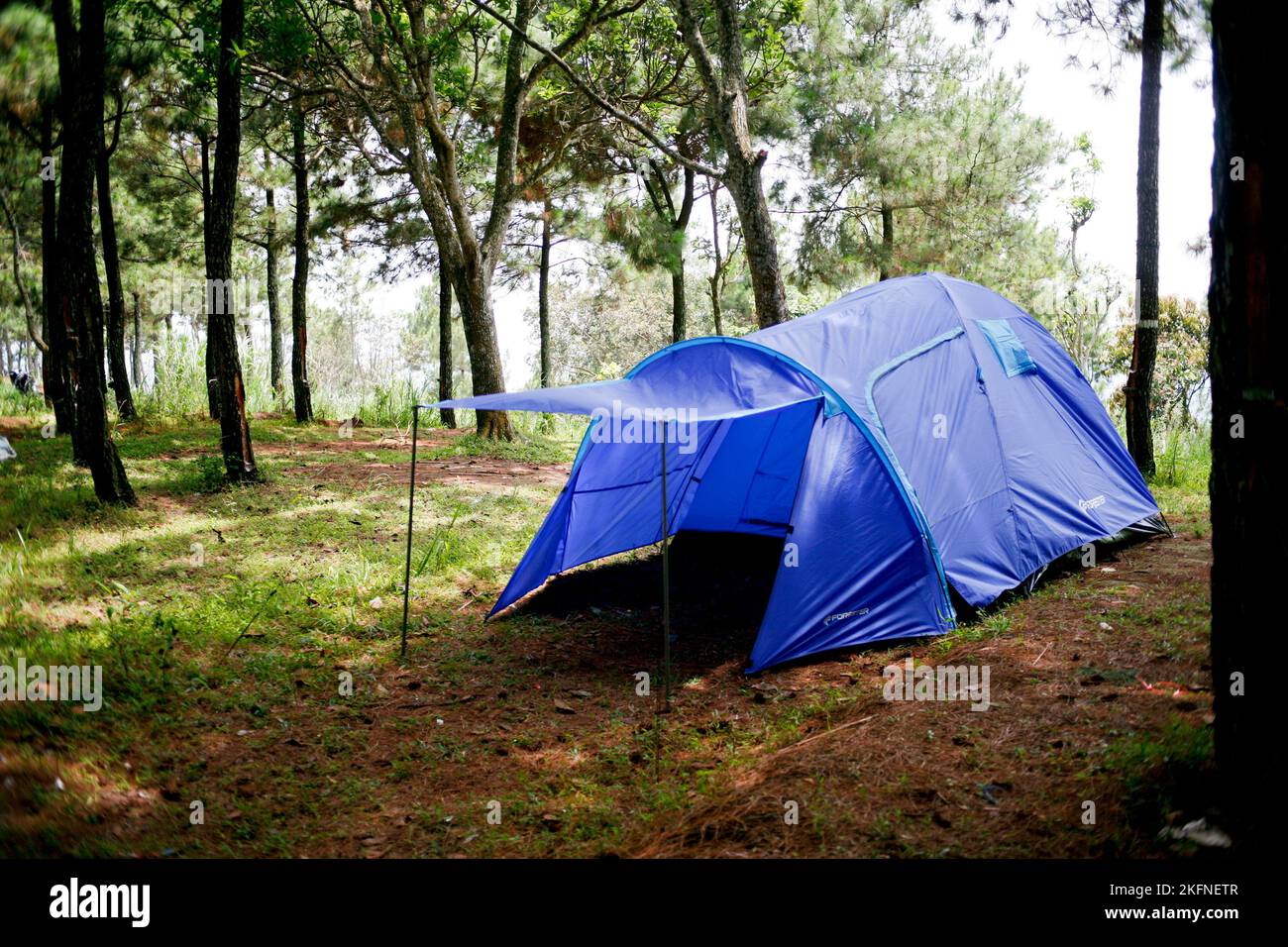 Blue tent at campsite in forest. Camping in the forest Stock Photo - Alamy