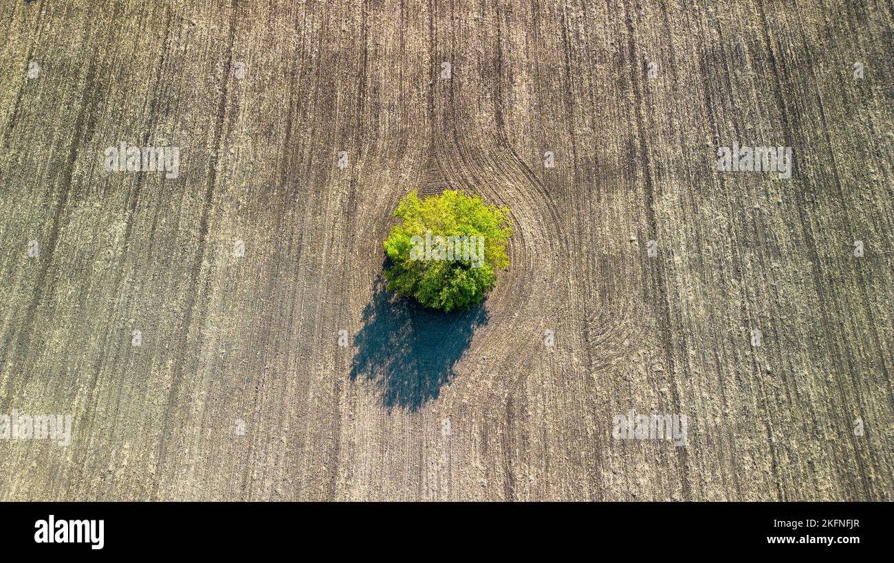 An aerial shot of a green round tree surrounded by field - perfect for ...