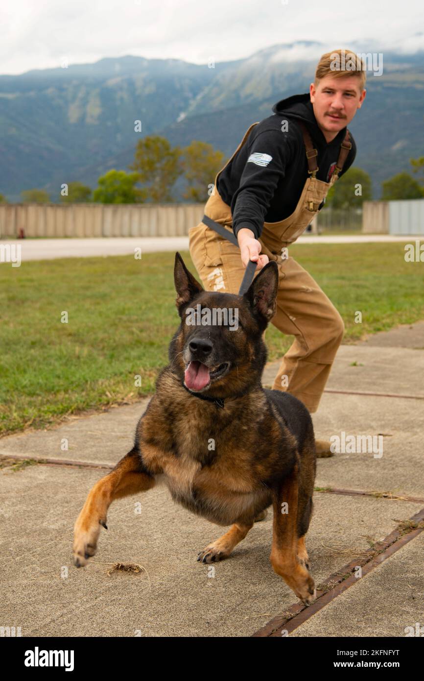 Kay, 31st Security Forces military working dog, and Senior Airman Ian ...