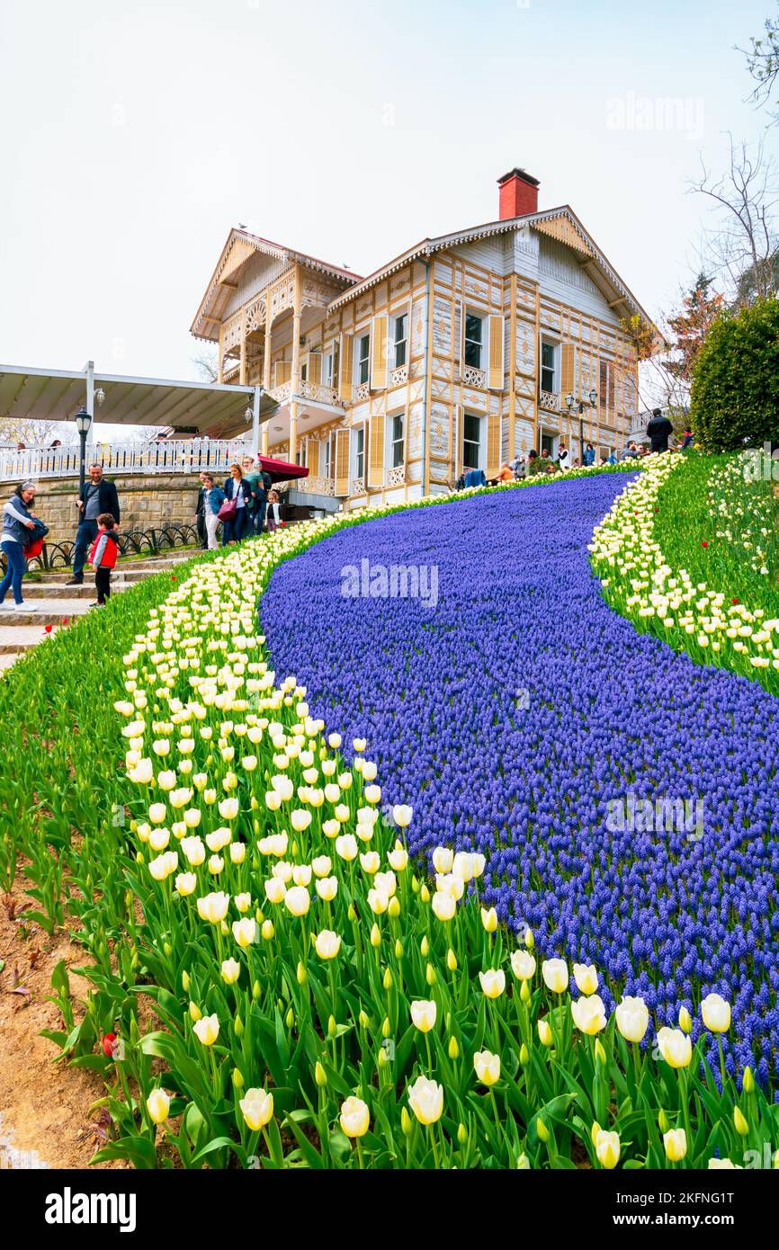 Sari Kosk or Yellow Pavilion in Emirgan Park with tulips in spring ...