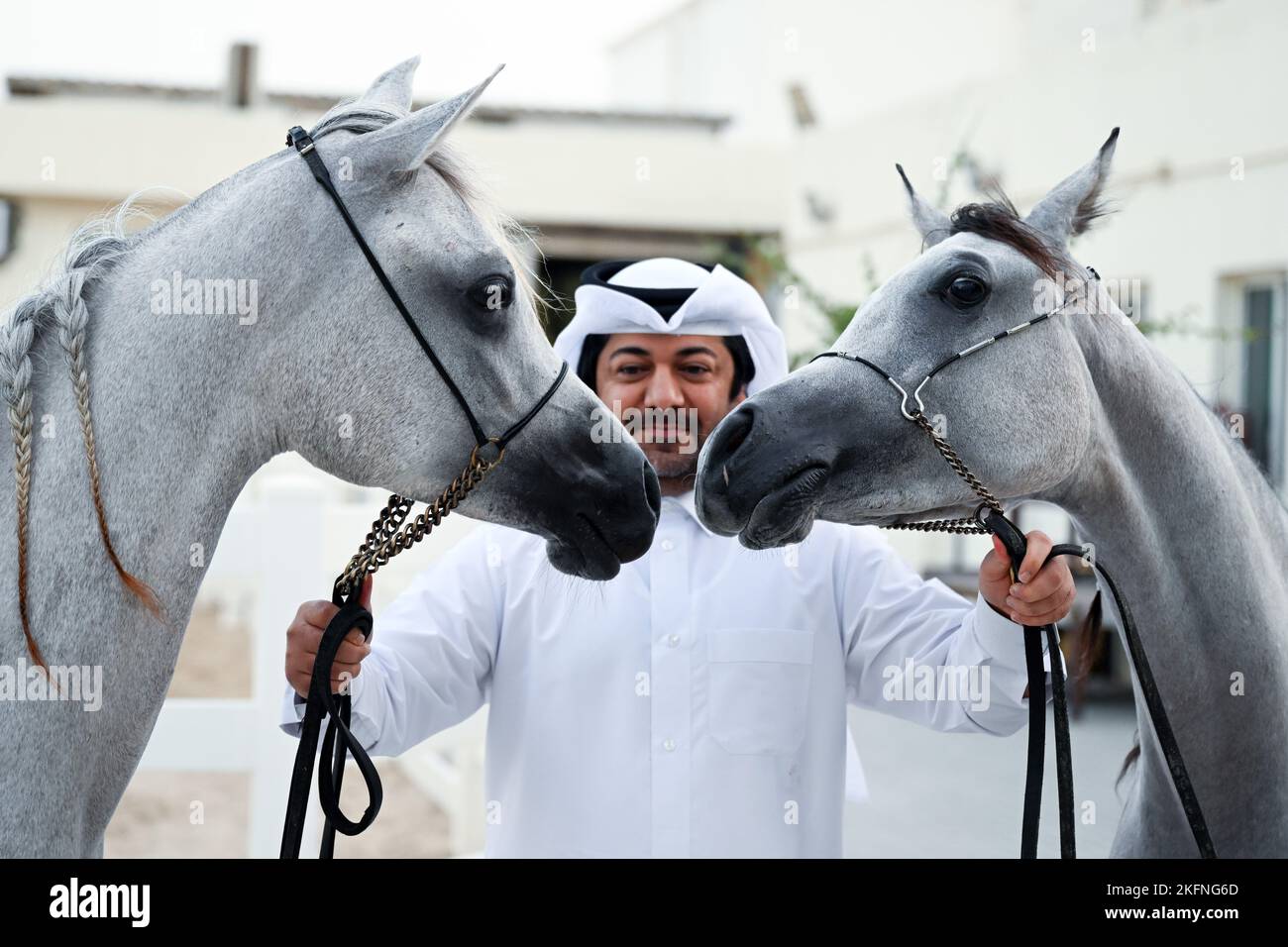 Al Ruwais, Qatar. 19th Nov, 2022. Fahid Mohamed, horse breeder, shows ...