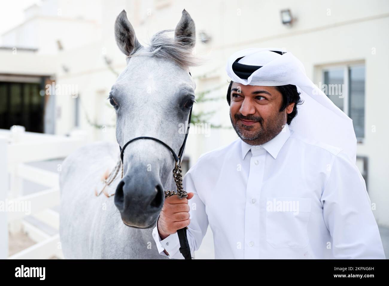 Al Ruwais, Qatar. 19th Nov, 2022. Fahid Mohamed, horse breeder, shows a ...