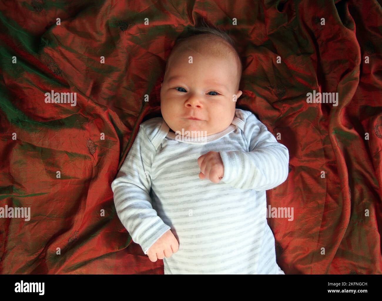 Baby portrait on red silk shawl background Stock Photo - Alamy