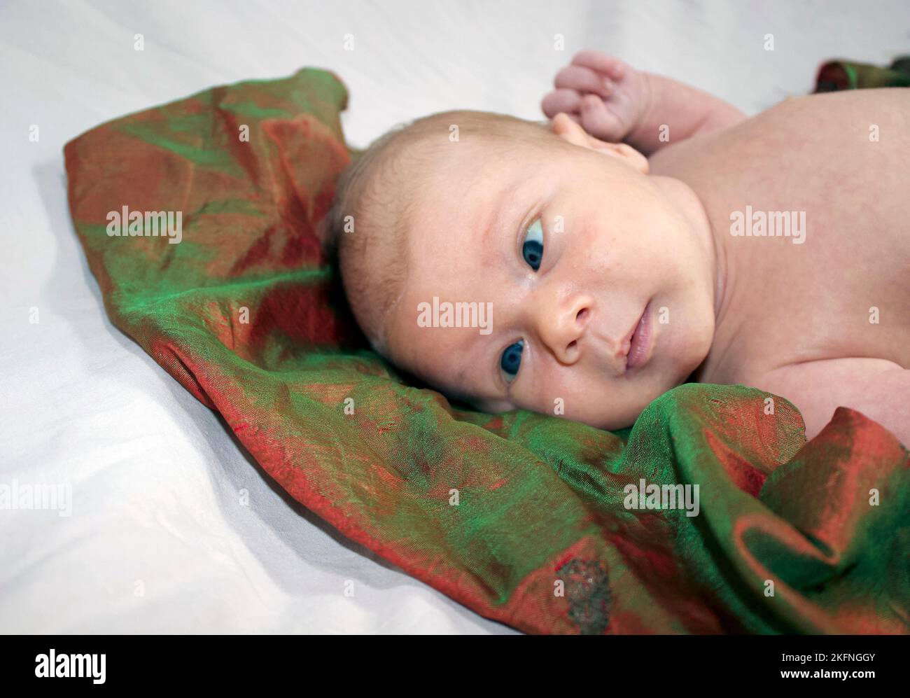Cute squinting baby portrait lying on red and green silk baxckground ...