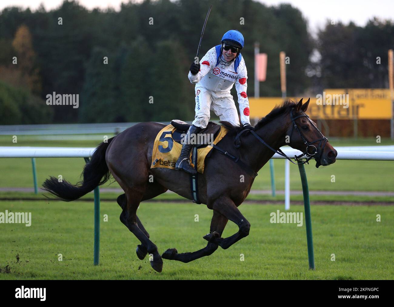 Harry Skelton celebrates winning the Betfair Chase with Protektorat on ...