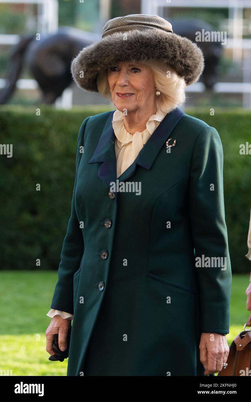 Duchess of cornwall and maureen ryan hi-res stock photography and ...