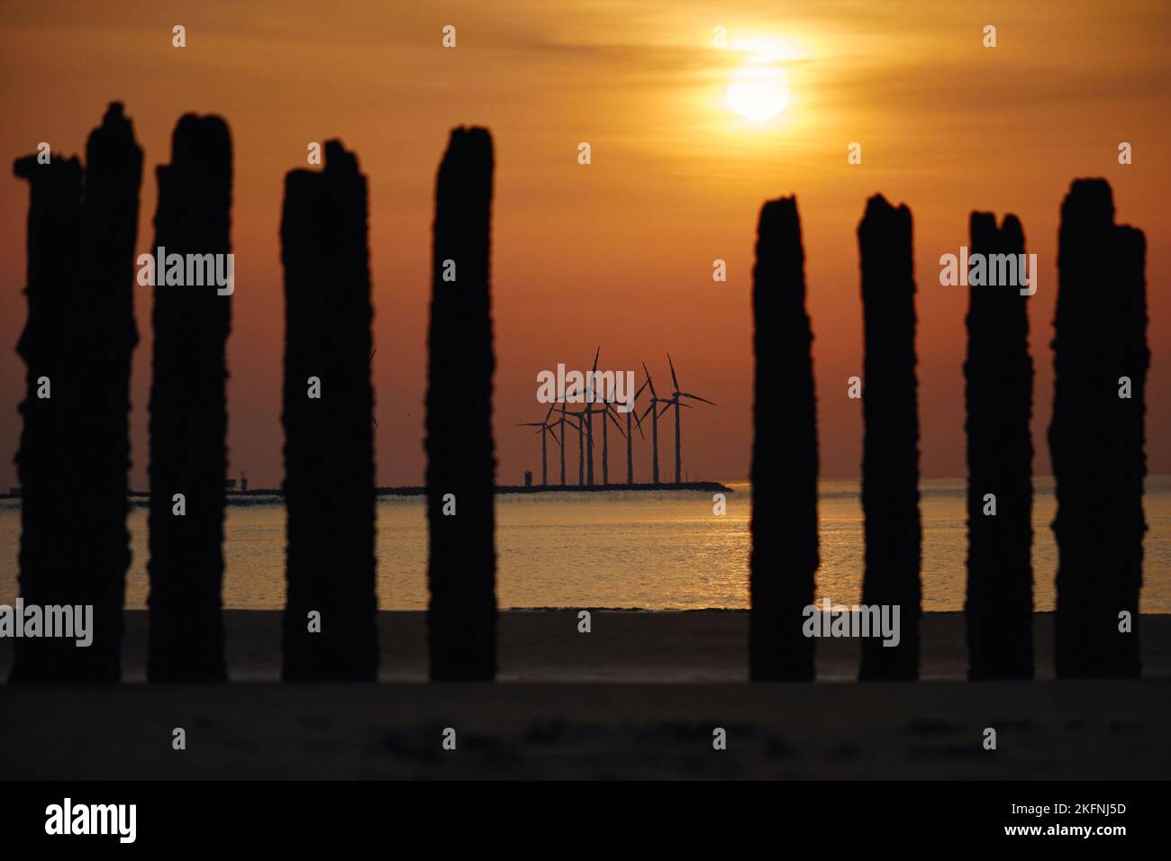 A golden sunset seascape with a selective focus of a wind farm, visible ...