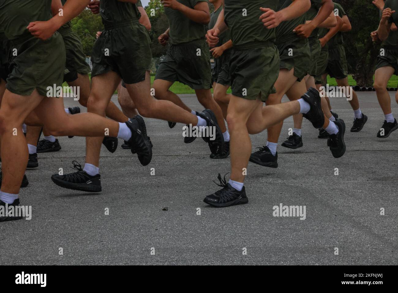 New Marines with Fox Company, 2nd Recruit Training Battalion, run in ...