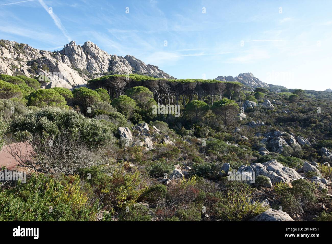 A beautiful shot of a landscape of rough cliffs and trees in the ...