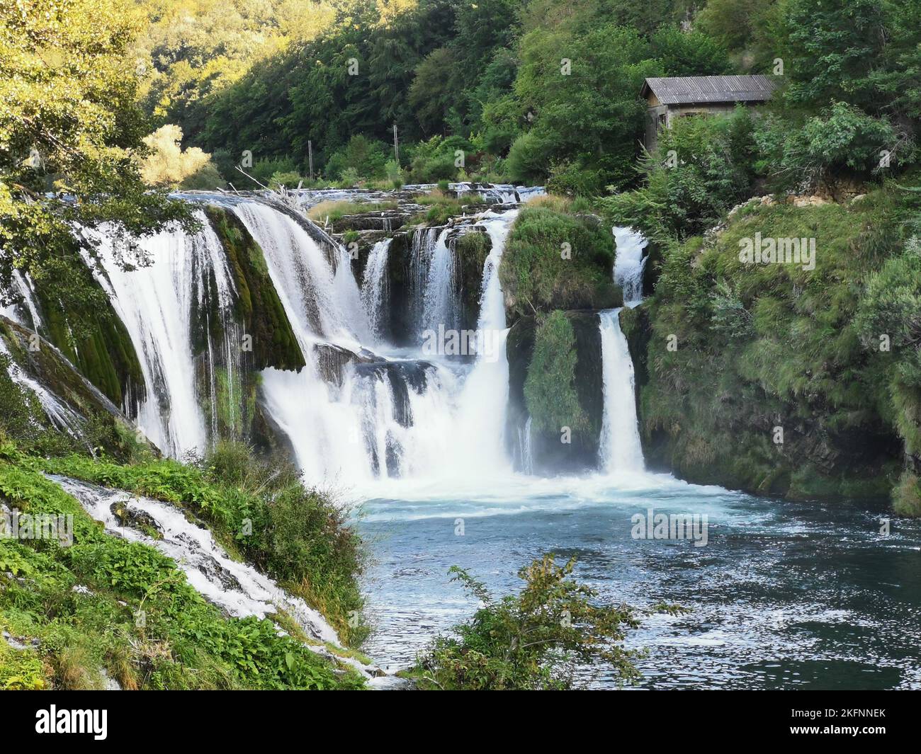 A beautiful waterfall surrounded by vegetation and plants under a ...