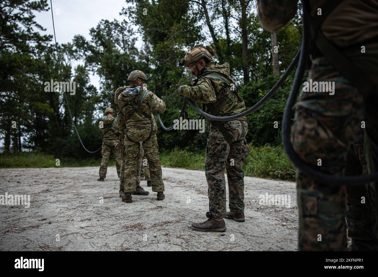 Spie line hi-res stock photography and images - Alamy
