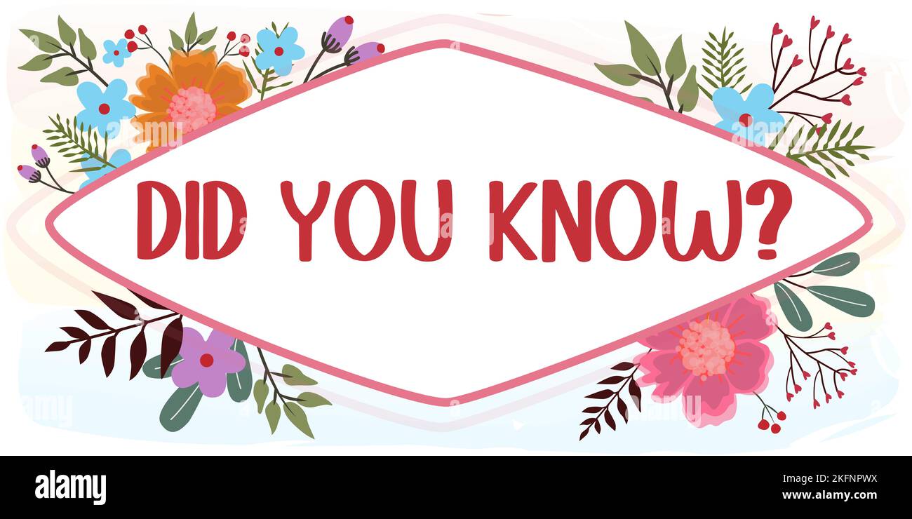 Text sign showing Did You Know. Word Written on Fun Facts and Figures ... Text sign showing Did You Know. Word Written on Fun Facts and Figures ...
