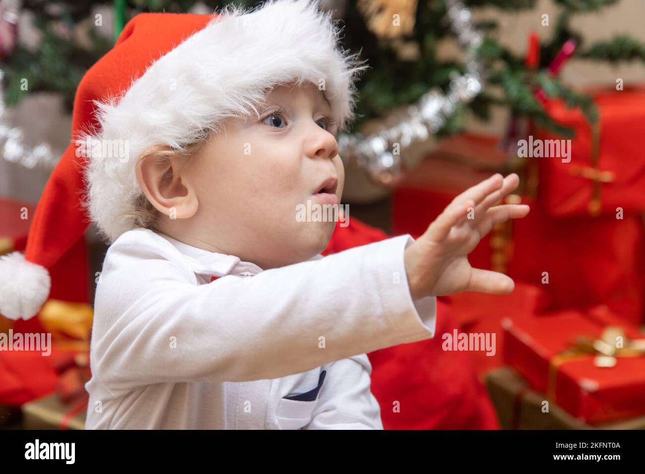 Little boy with a Santa Claus hat beside the Christmas tree with gifts ...