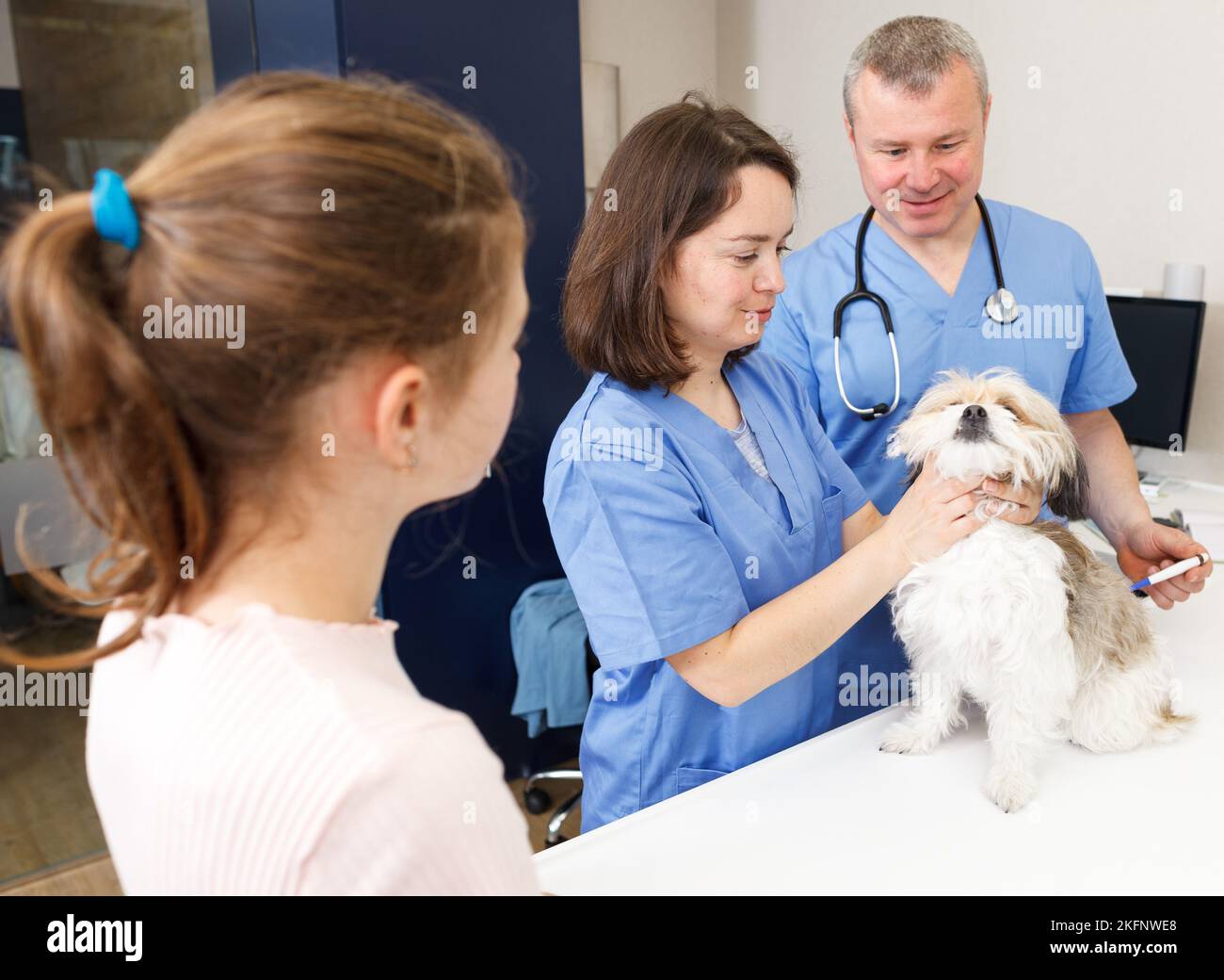 Veterinarians visit hi-res stock photography and images - Alamy