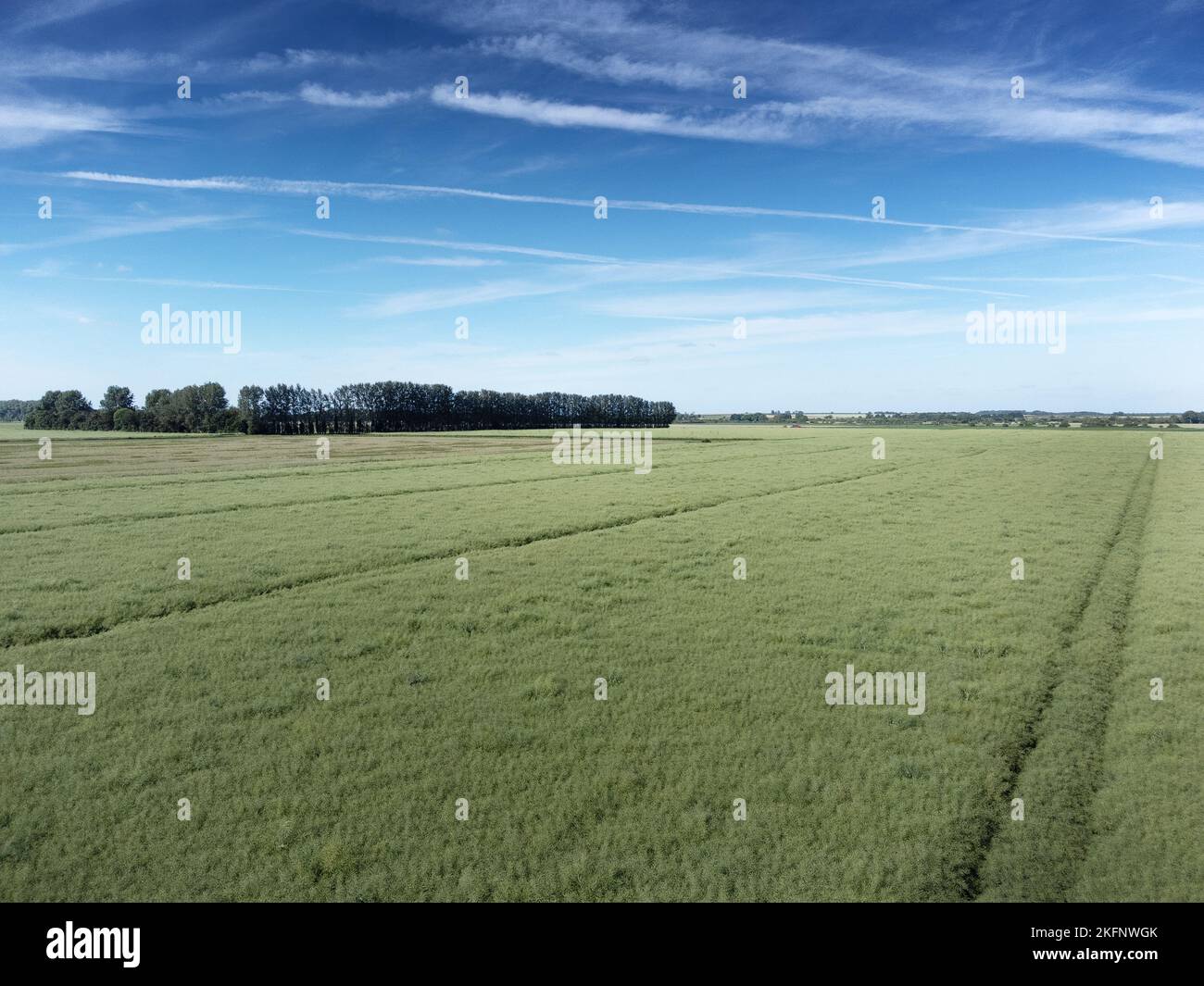 UK Bird eye view of english countryside in Norfolk Stock Photo - Alamy