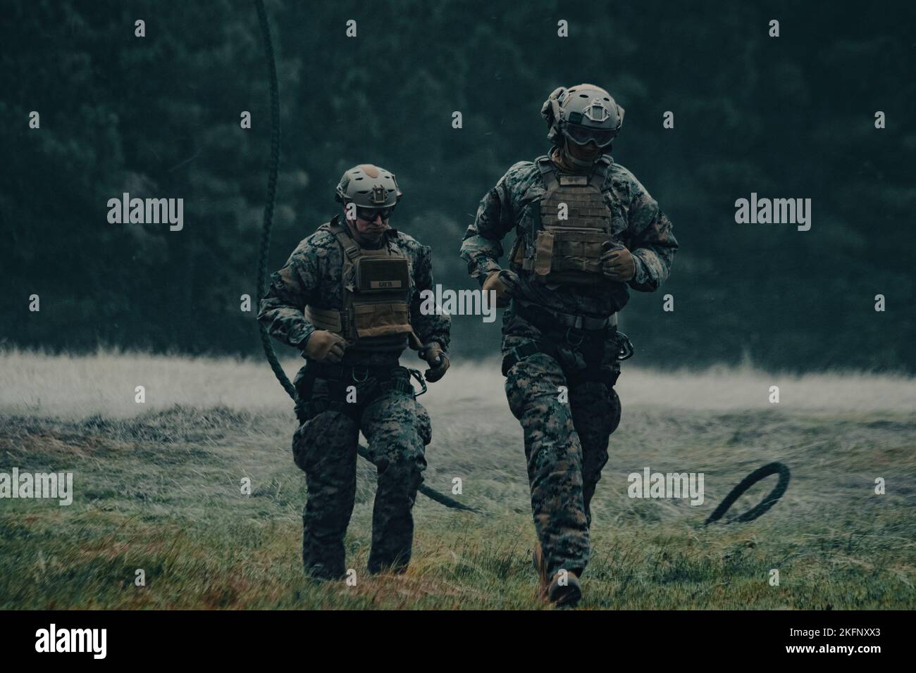 Hrst masters hi-res stock photography and images - Alamy