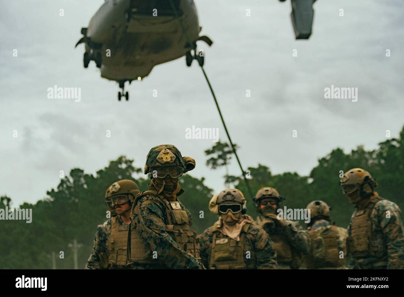 Hrst masters hi-res stock photography and images - Alamy