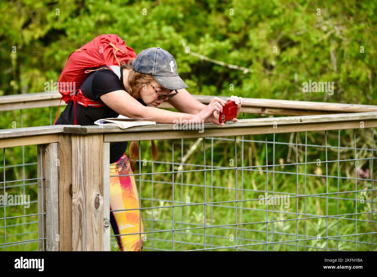 A middle aged woman on boardwalk taking mobile phone photograph of ...