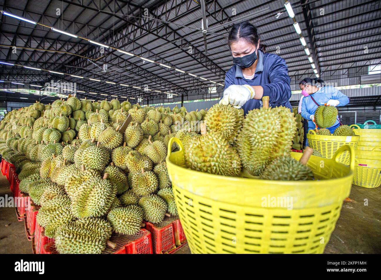 Bangkok province thailand may hi-res stock photography and images - Alamy