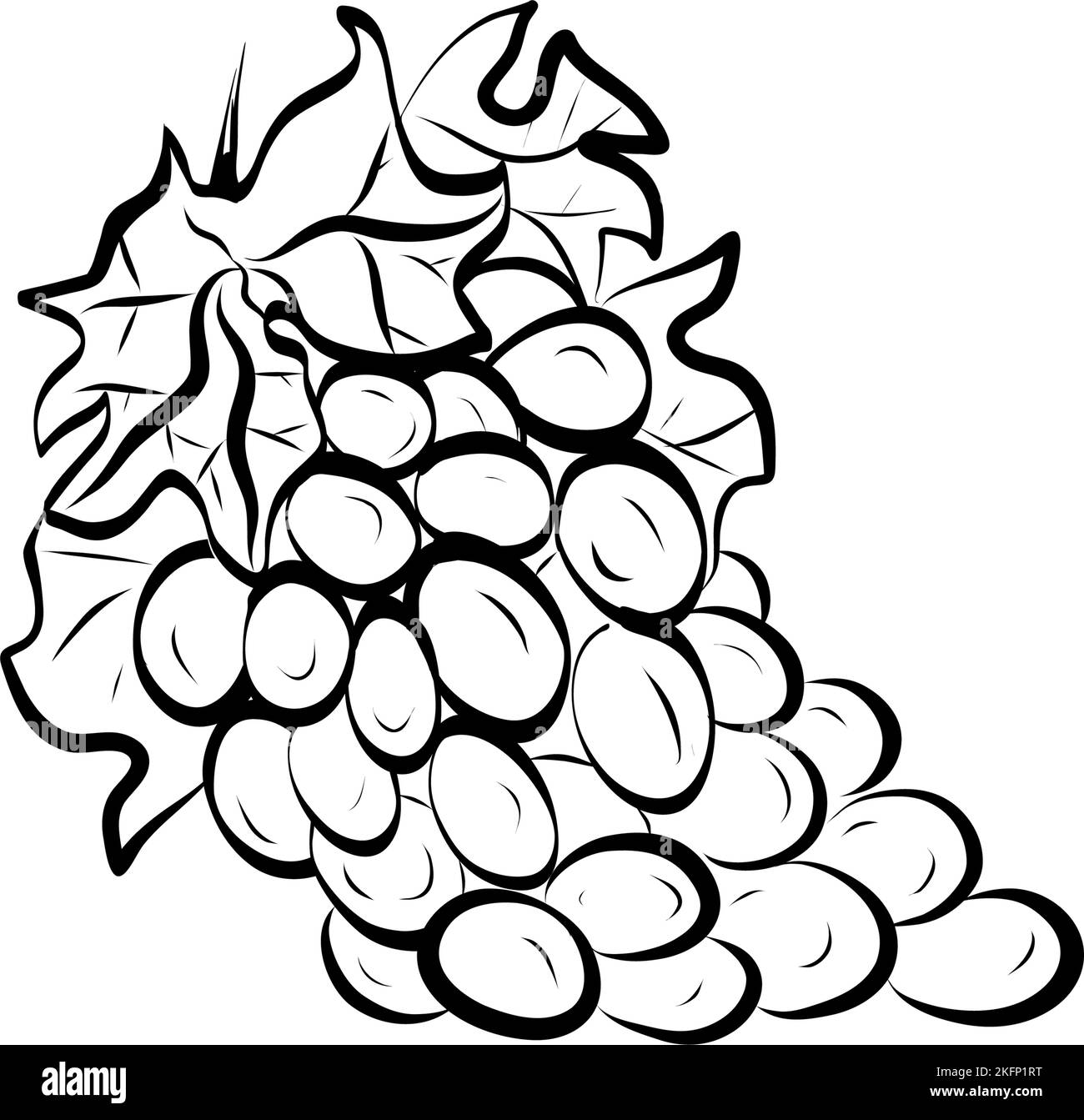 Sketch Illustration of Grapes. Hand Drawn Icon on White Background ...