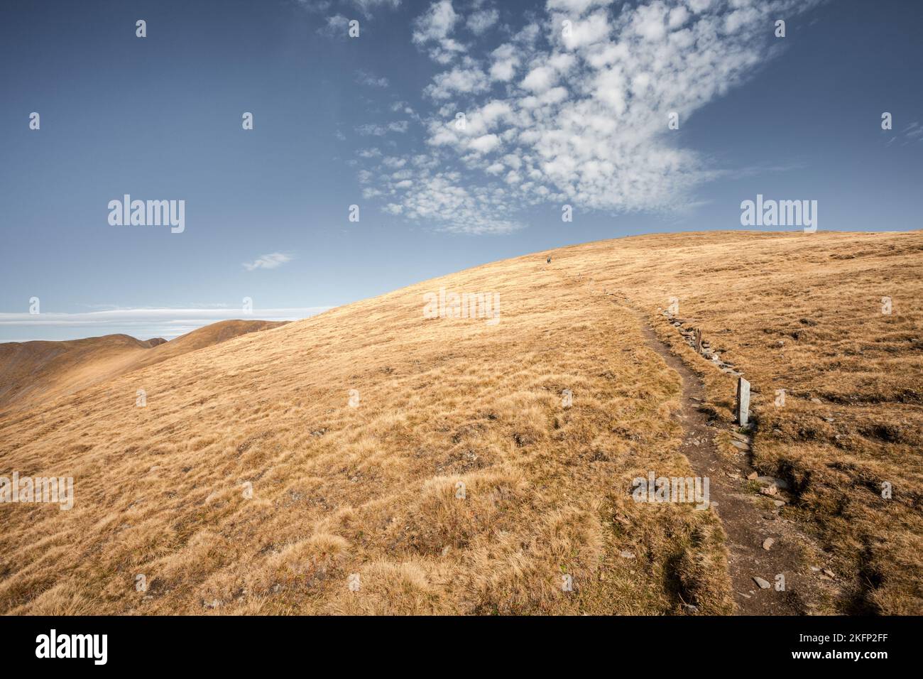 a mountain pasture among the Alps at fall Stock Photo - Alamy