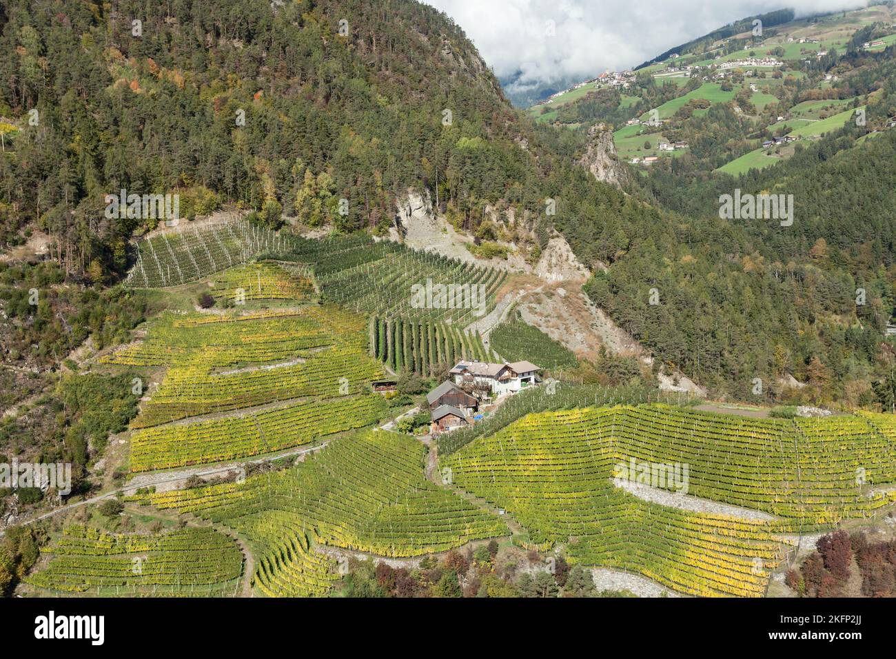 Alpine wine production hi-res stock photography and images - Alamy