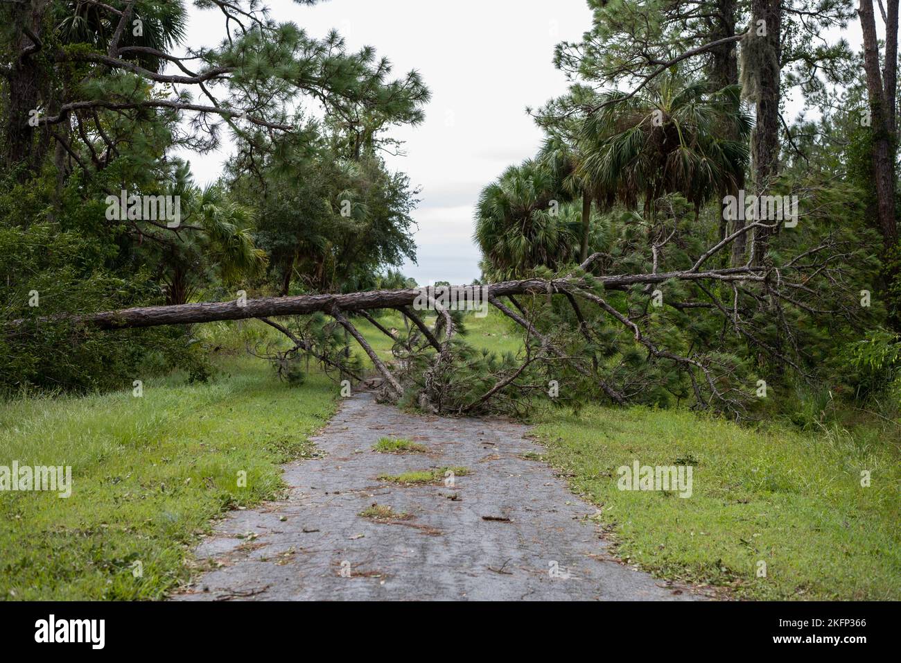 Damage from Hurricane Ian is shown across MacDill Air Force Base ...