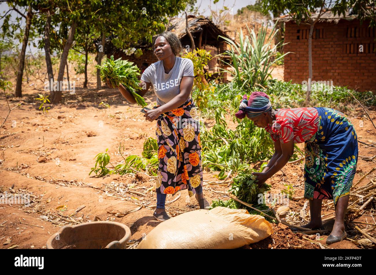 Agriculture conservation hi-res stock photography and images - Alamy
