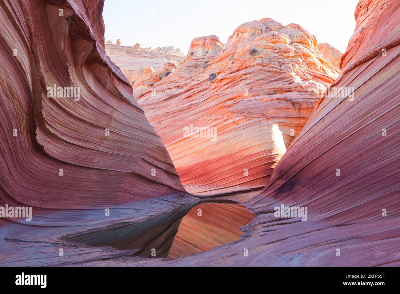 The Wave, Arizona, Vermillion Cliffs, Paria Canyon State Park in the ...