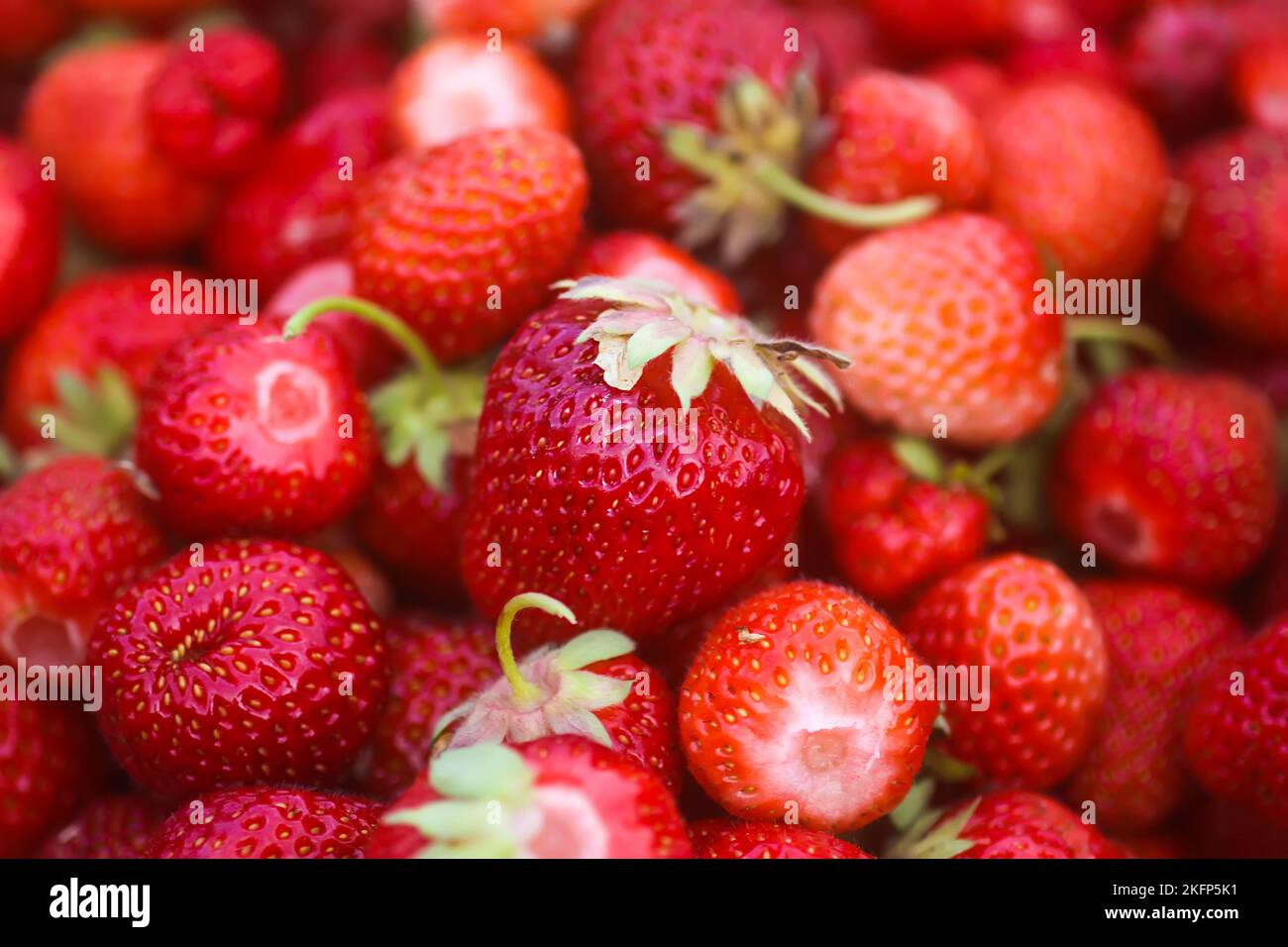 Red ripe strawberries. Fresh organic berries for healthy eating Stock ...