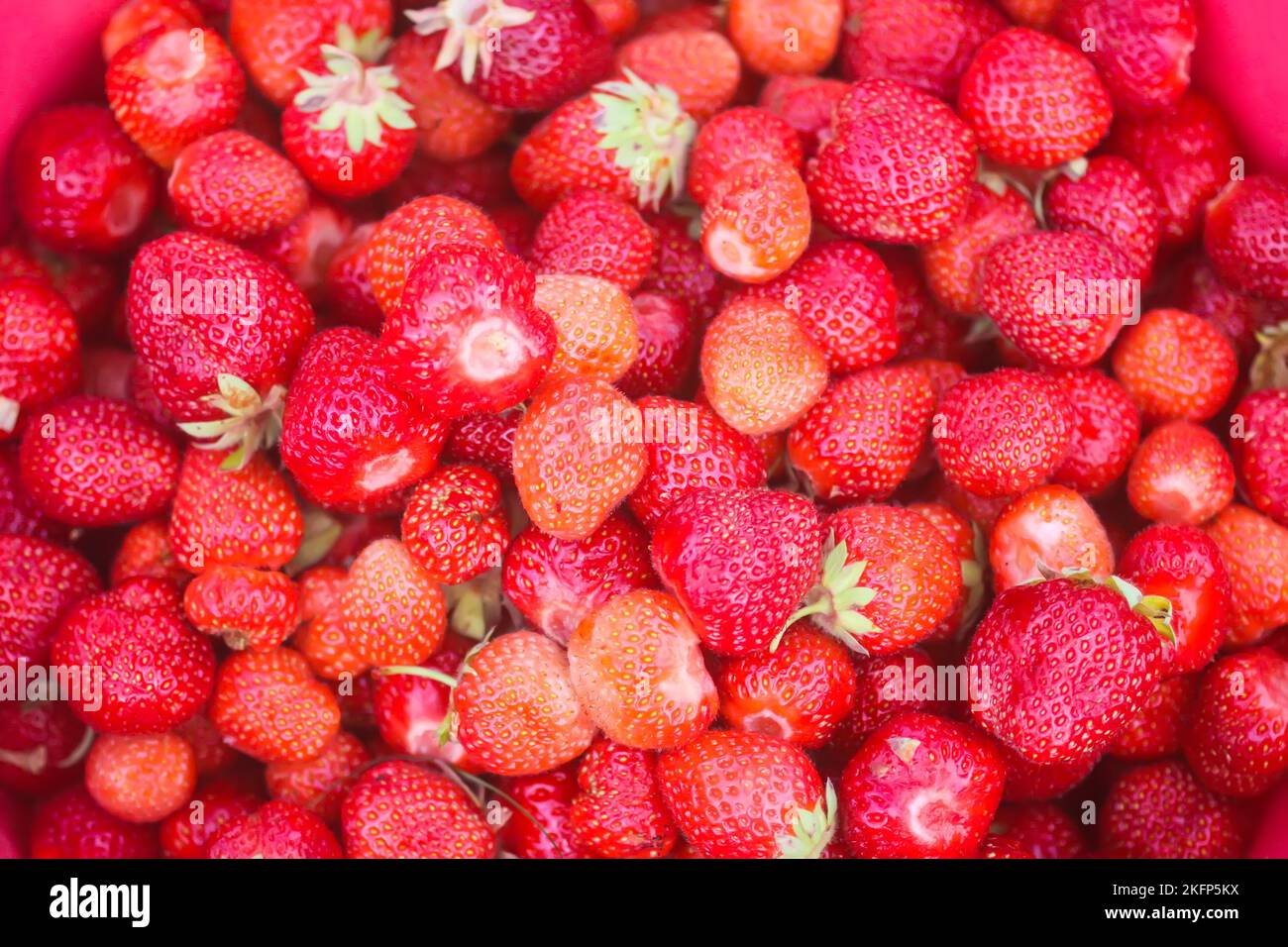 Red ripe strawberries. Fresh organic berries for healthy eating Stock ...