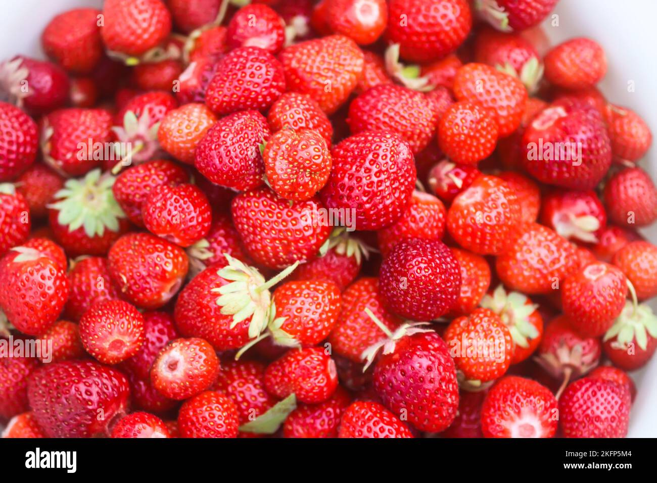 Red ripe strawberries. Fresh organic berries for healthy eating Stock ...