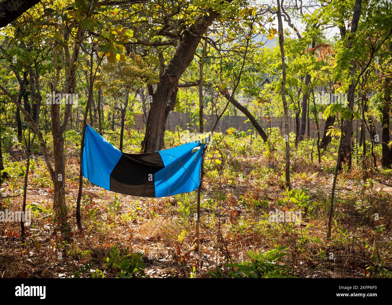 Black and Blue Tsetse fly flag trap in Nkhotakota wildlife reserve ...