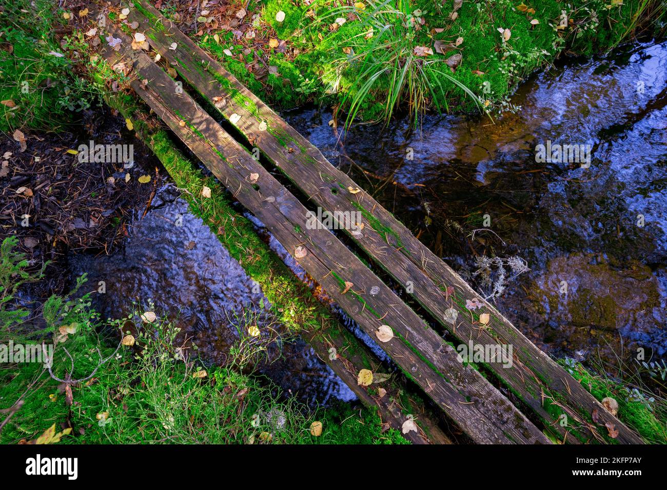 An old simple wooden bridge going over a creek in a forest Stock Photo ...
