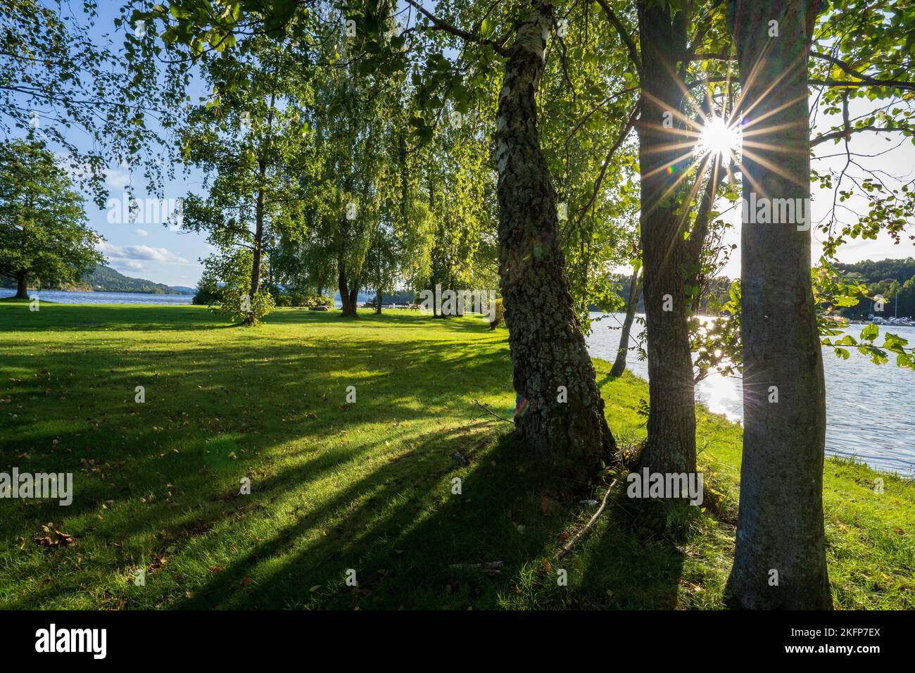 A beautiful shot of sunlight seeping through trees on the edge of a ...