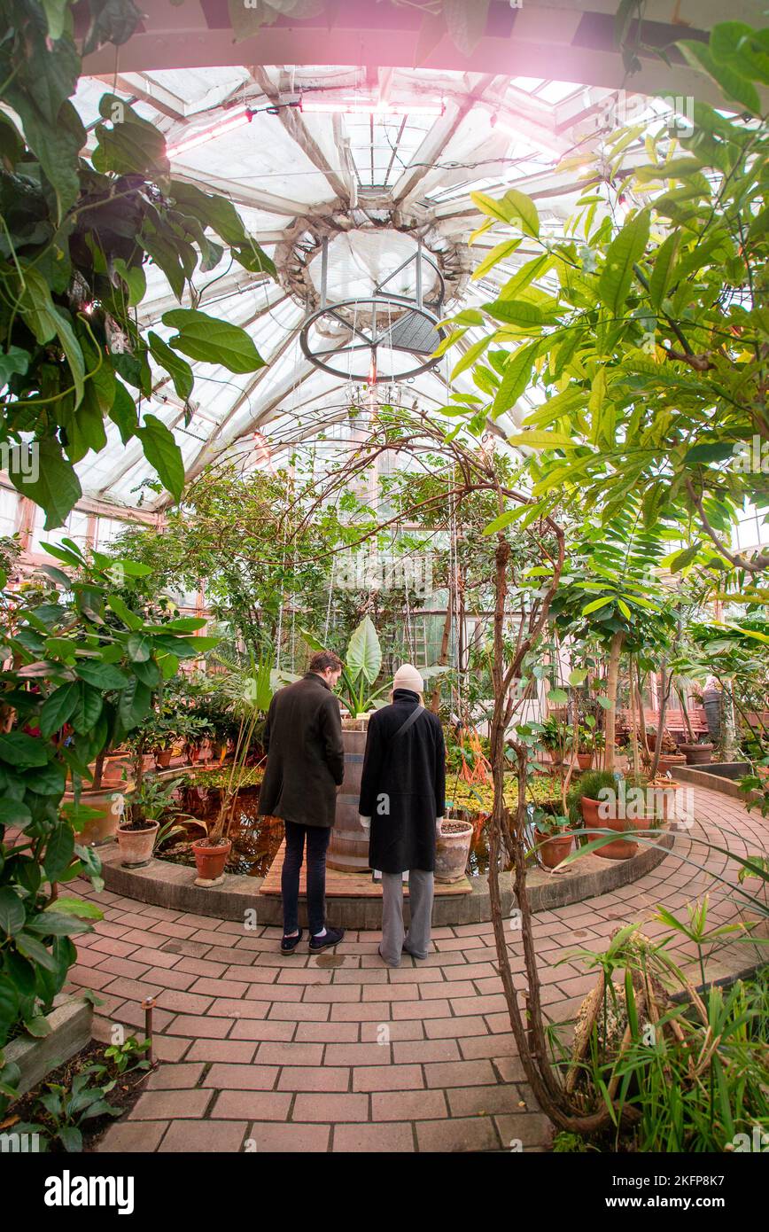 Young couple on a date at an indoor botanical garden, looking at plants ...