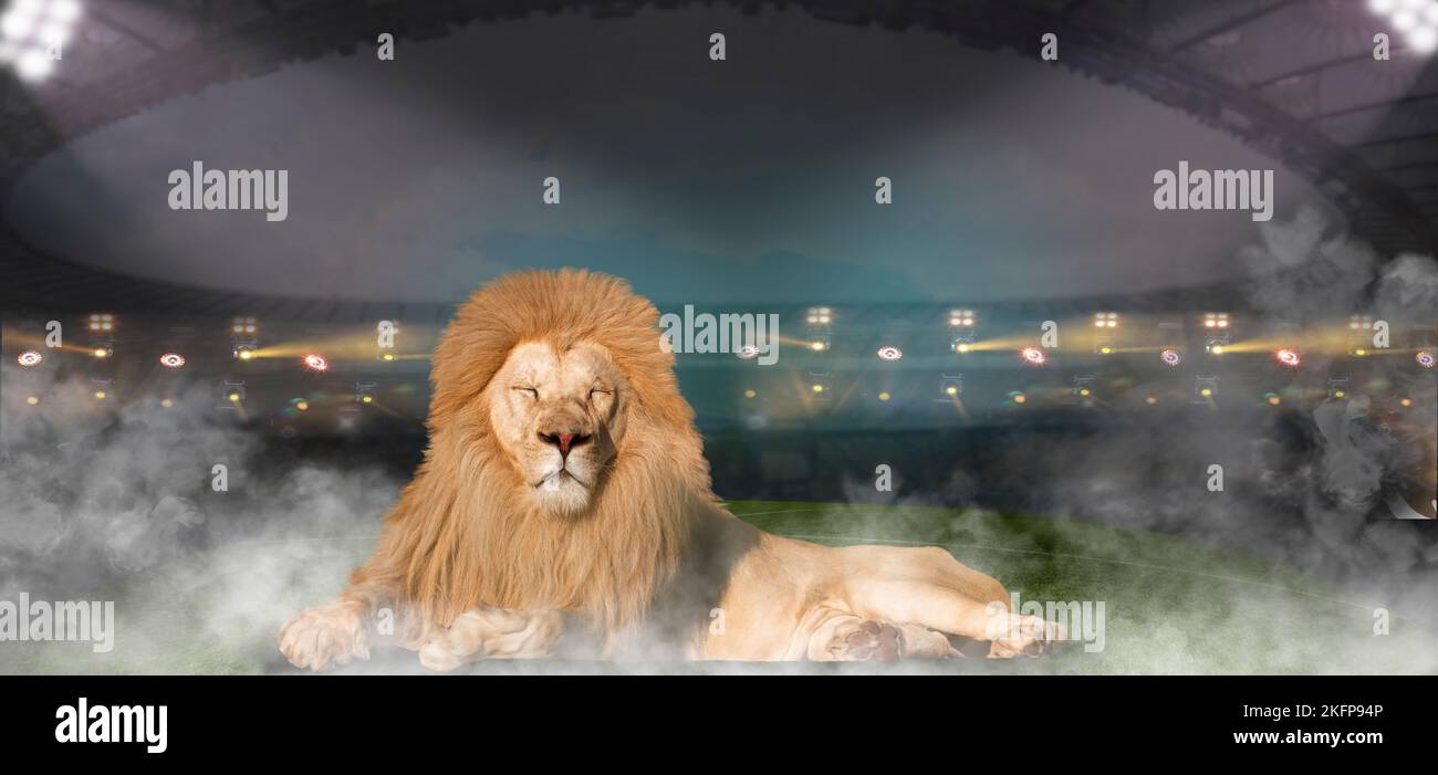 Fifa world cup trophy qatar hi-res stock photography and images - Alamy