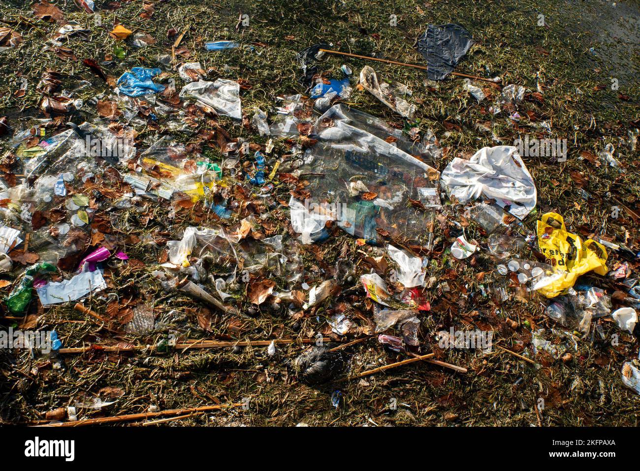 Plastic litter and other waste floating in water, washed up at ...