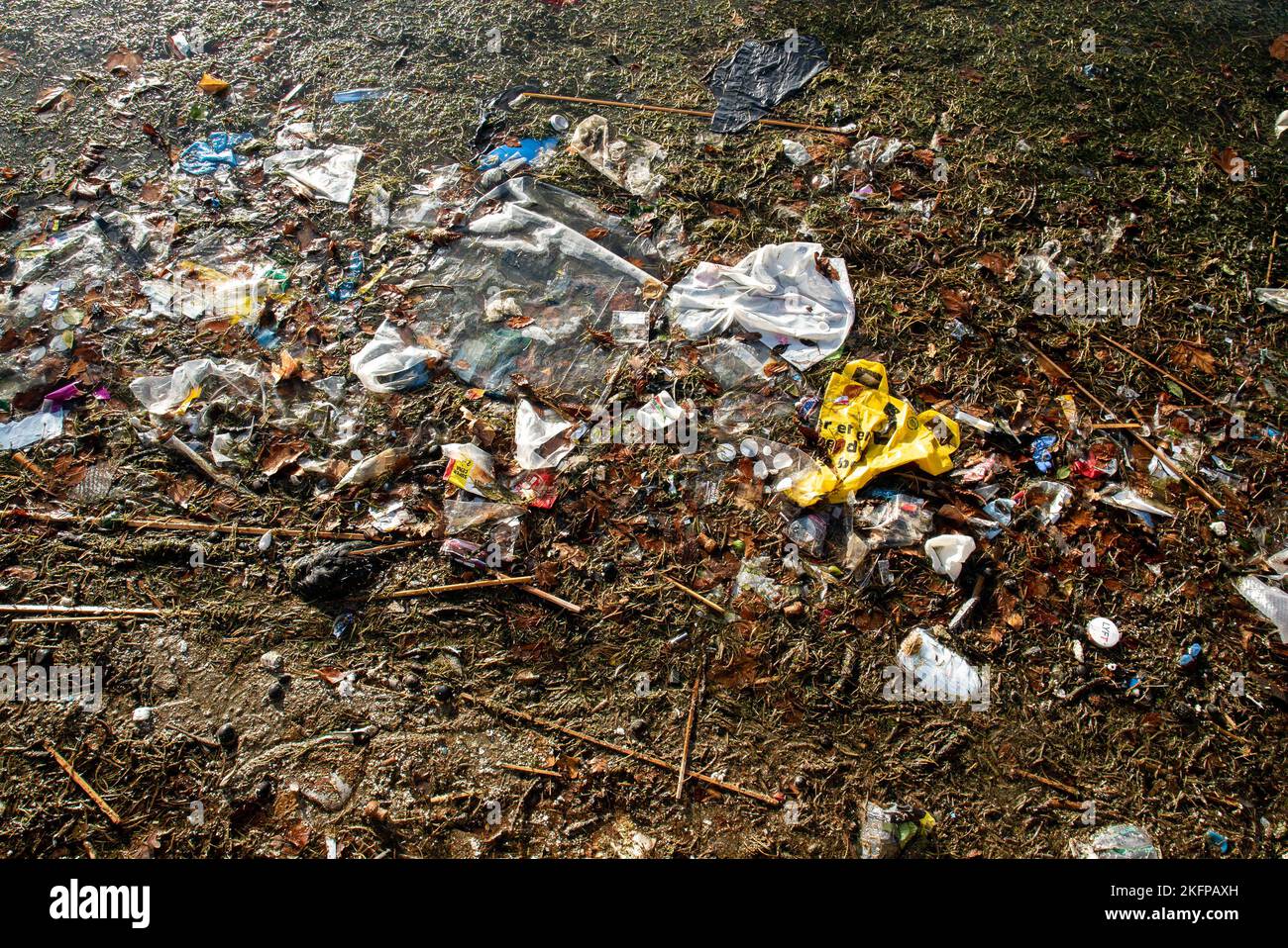 Plastic litter and other waste floating in water, washed up at ...