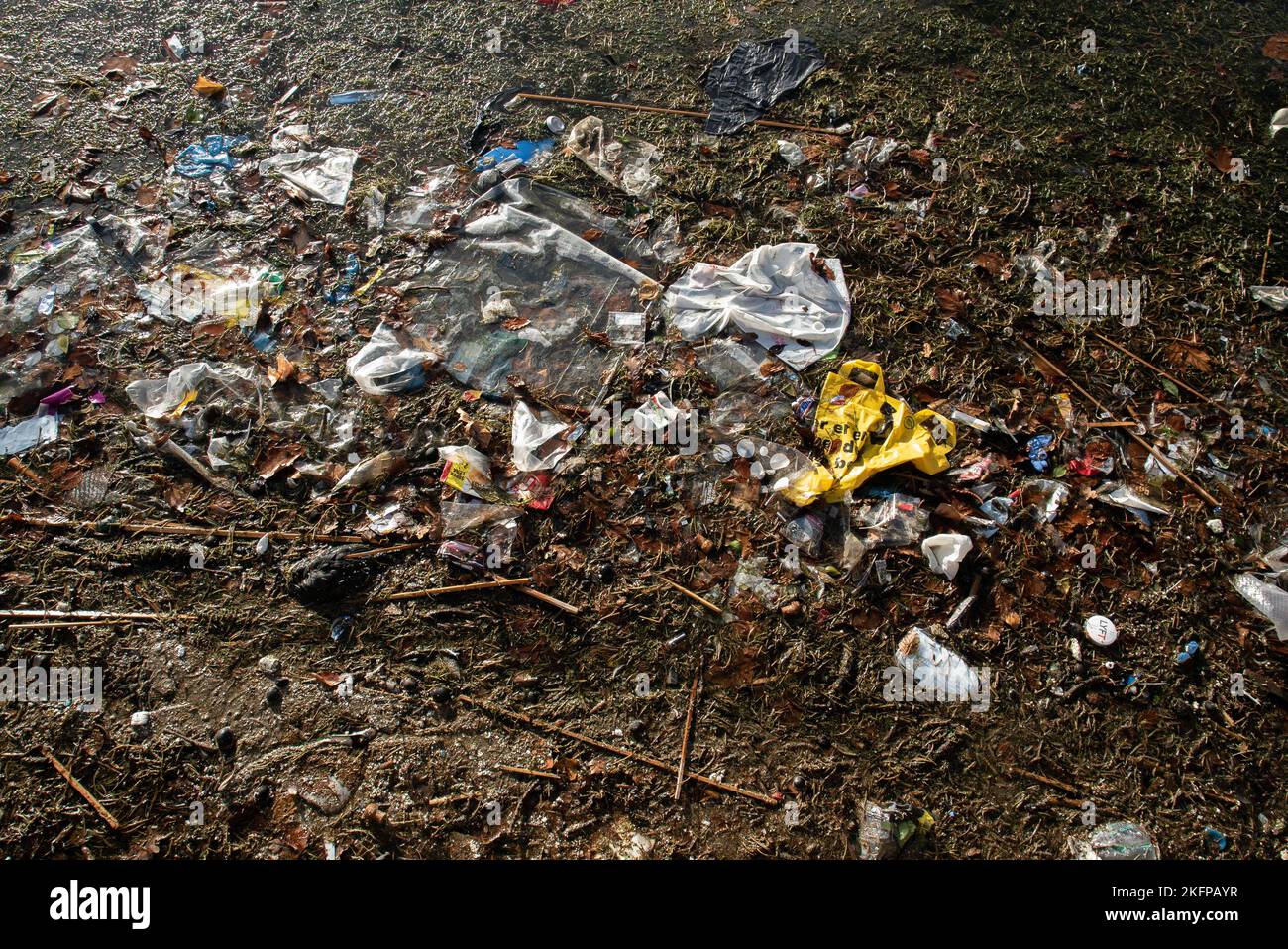 Plastic litter and other waste floating in water, washed up at ...