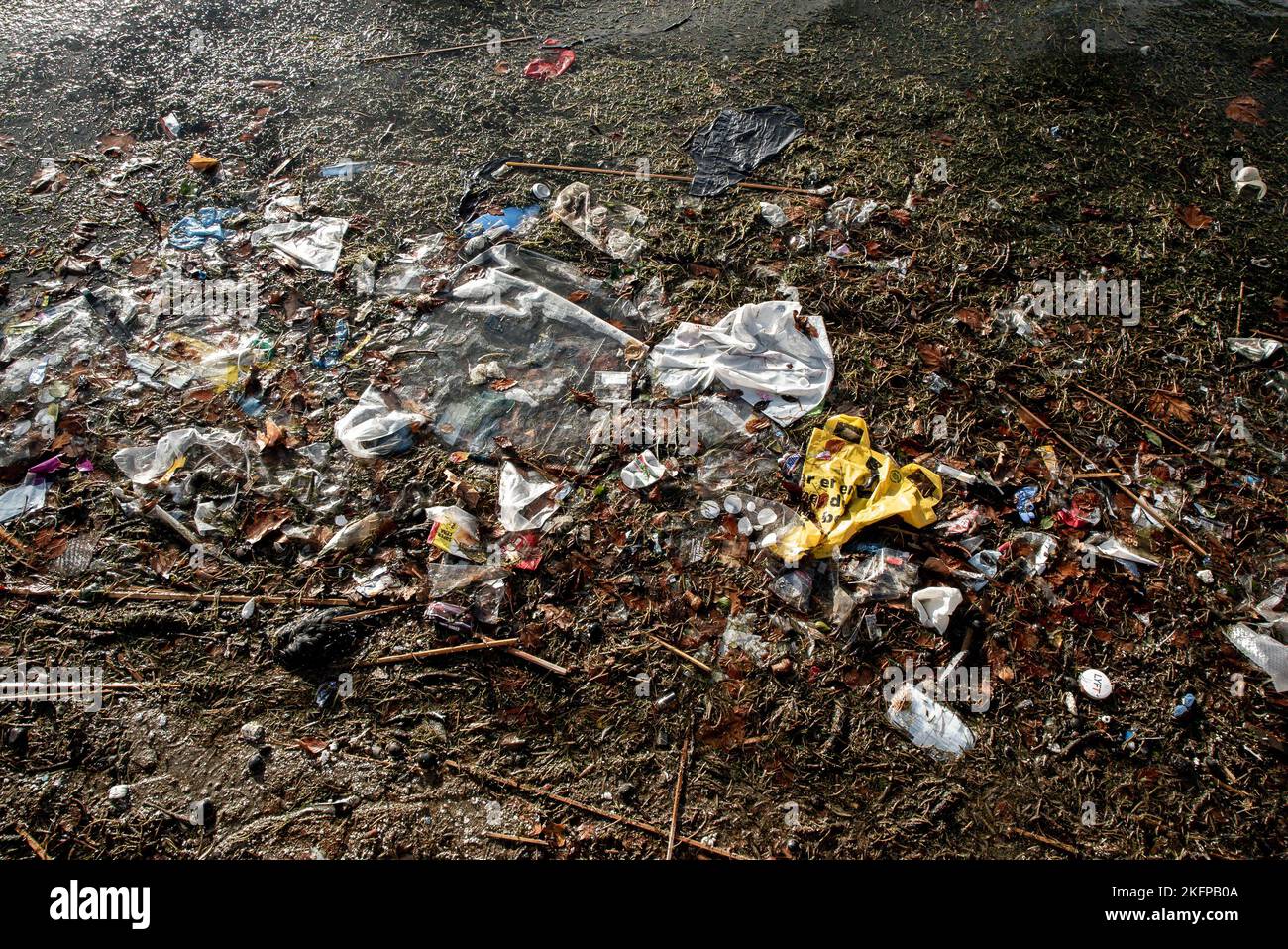 Plastic litter and other waste floating in water, washed up at ...
