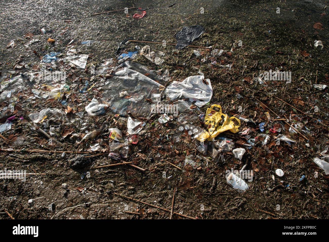 Plastic litter and other waste floating in water, washed up at ...