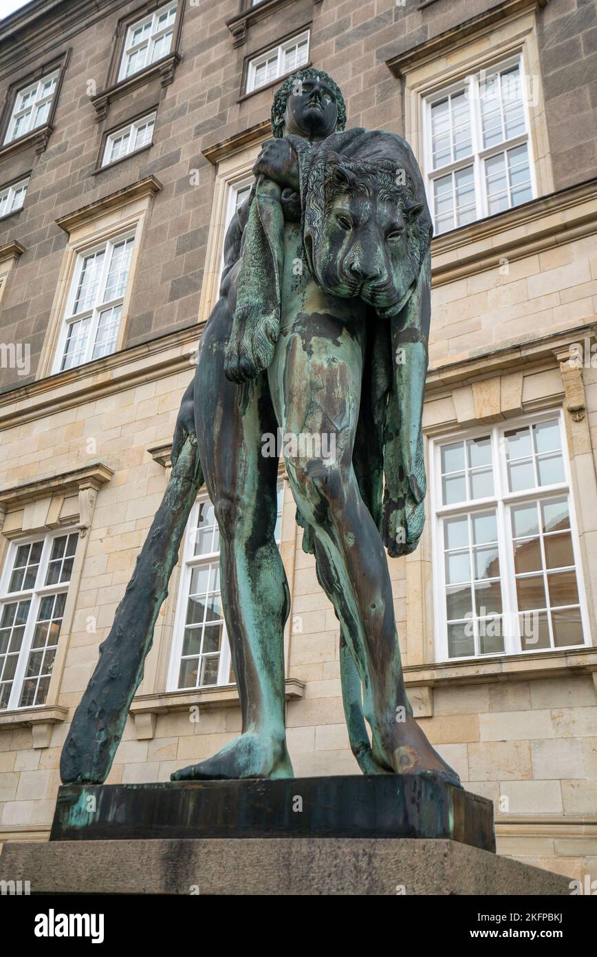 Lion skin hi-res stock photography and images - Alamy